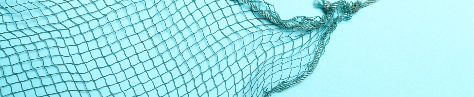 Widening the Net